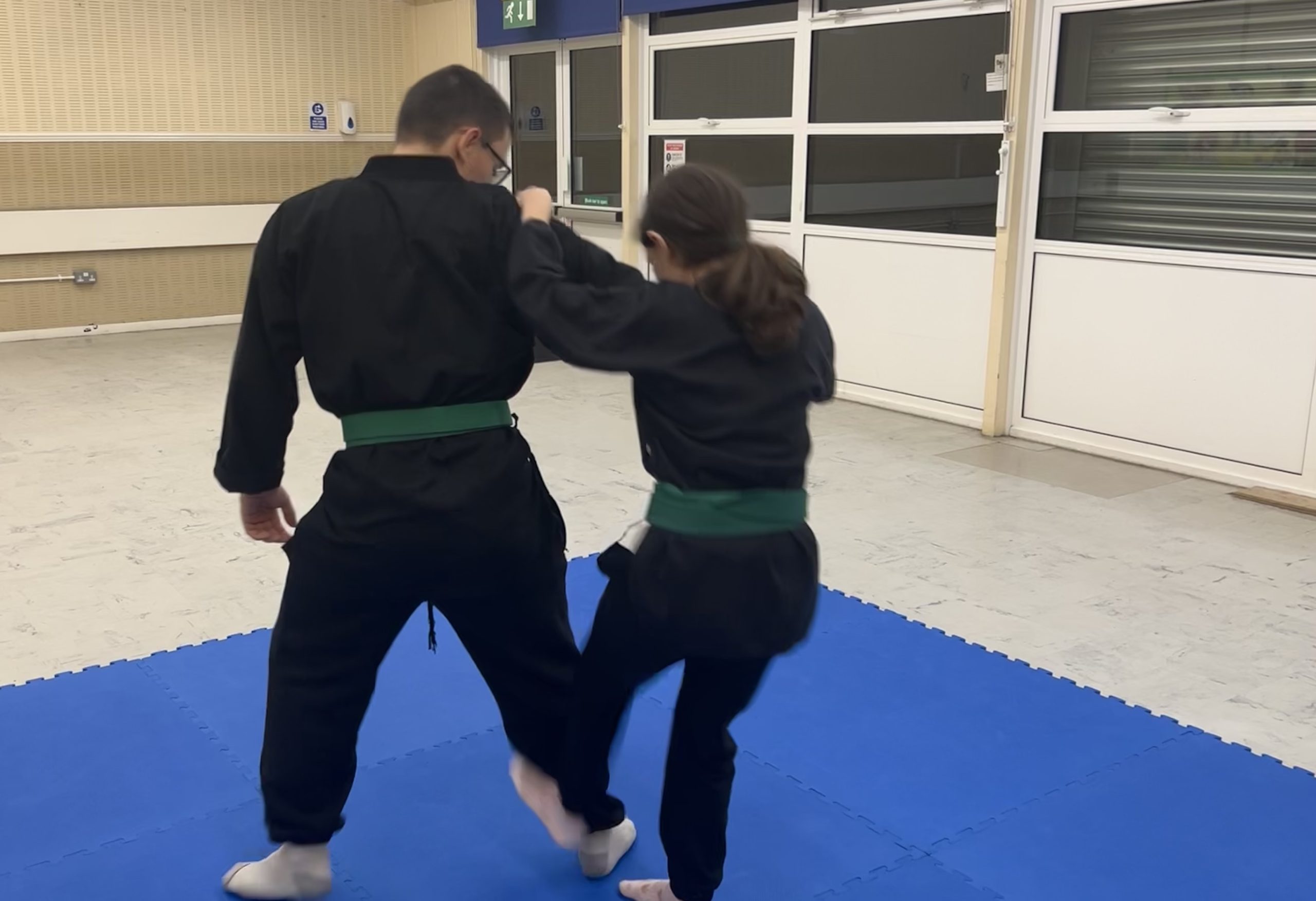 All Abilities Martial Art – Learn to help protect yourself while having ...